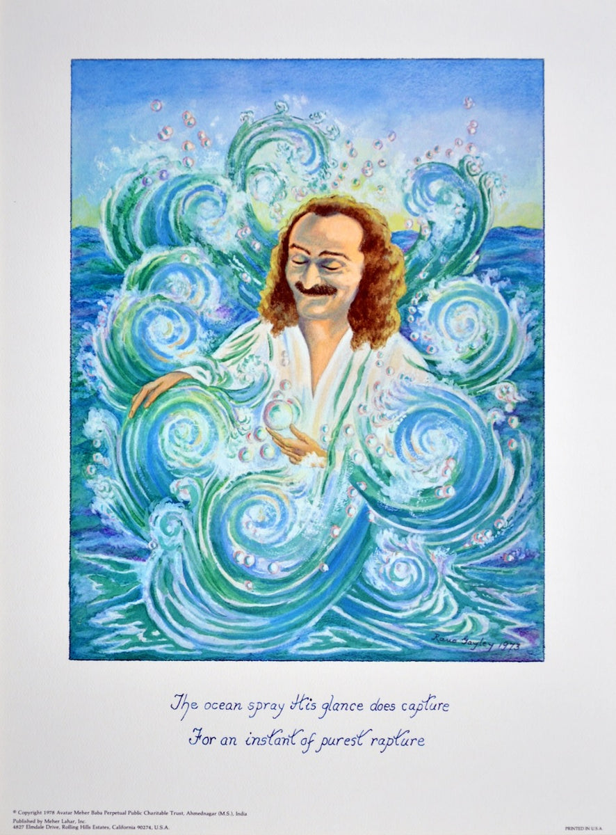The Color of Compassion – Meher Baba Books